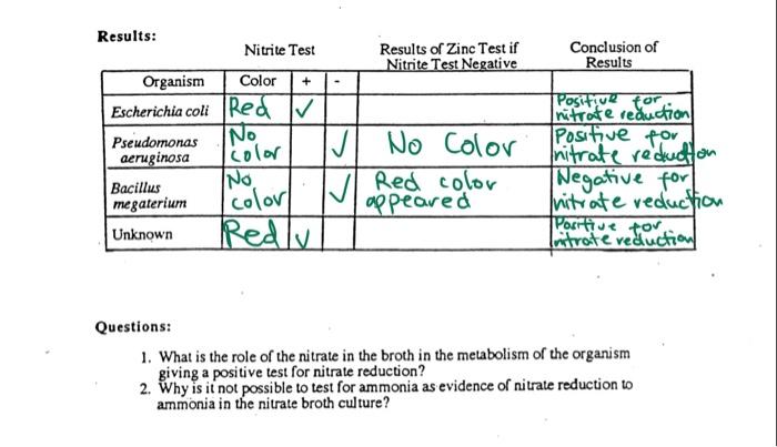 Questions: 1. What is the role of the nitrate in the | Chegg.com