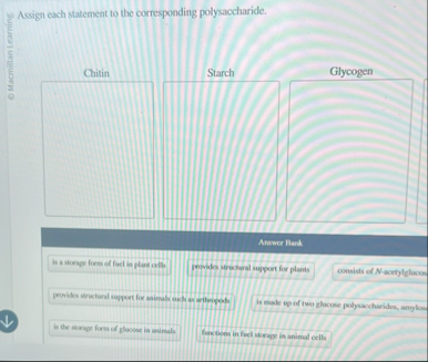 Solved Assign each statement to the corresponding | Chegg.com