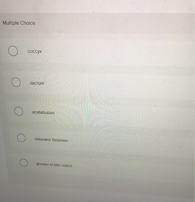 Solved Which structure is highlighted? Multiple Choice O | Chegg.com