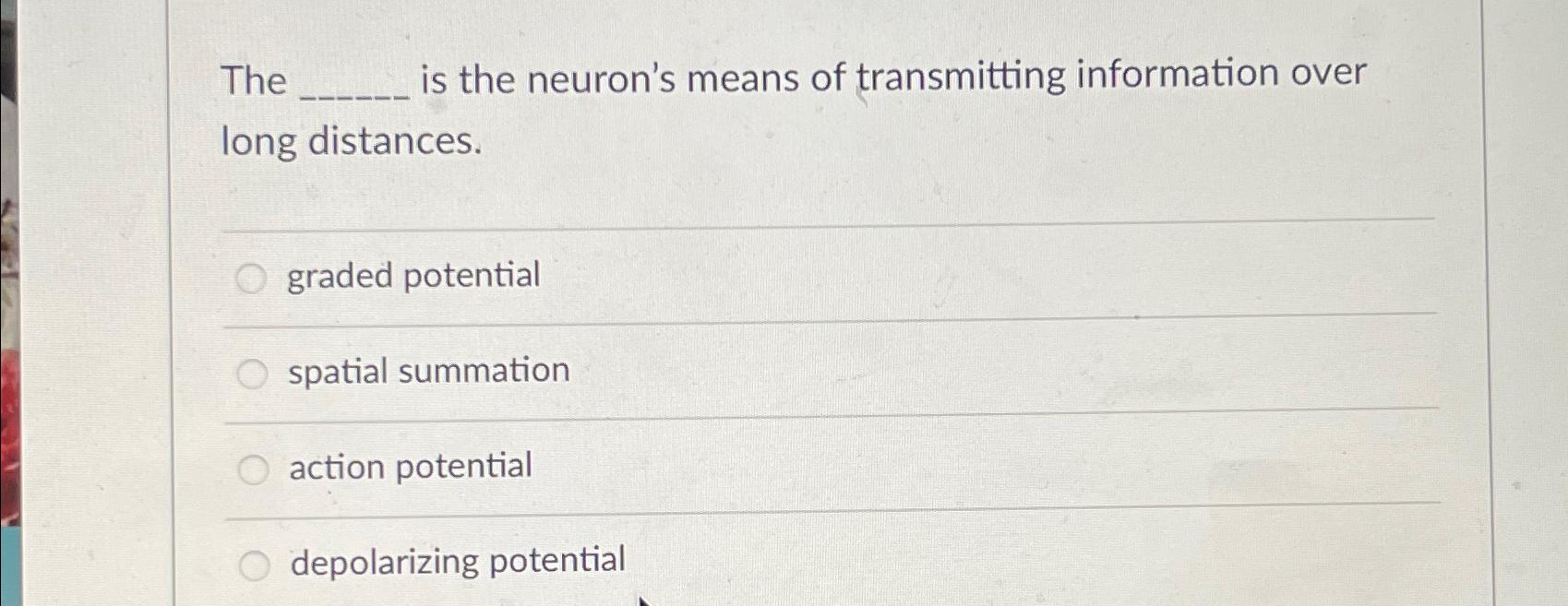 Solved The is the neuron's means of transmitting information | Chegg.com