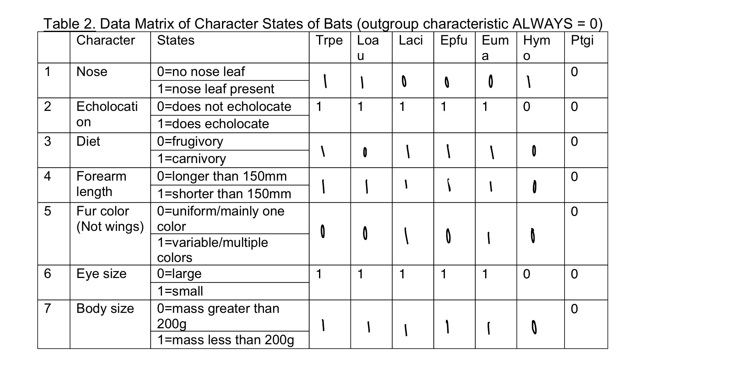 Solved Table 2. ﻿Data Matrix of Character States of Bats | Chegg.com
