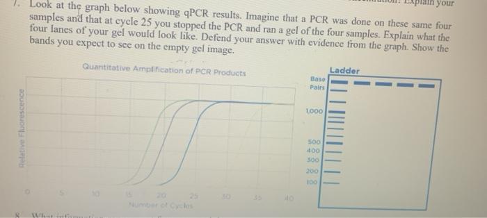in your Look at the graph below showing qPCR results. | Chegg.com