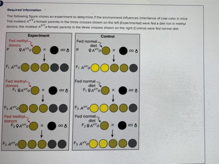 Solved What pattern of inheritance do results from this | Chegg.com