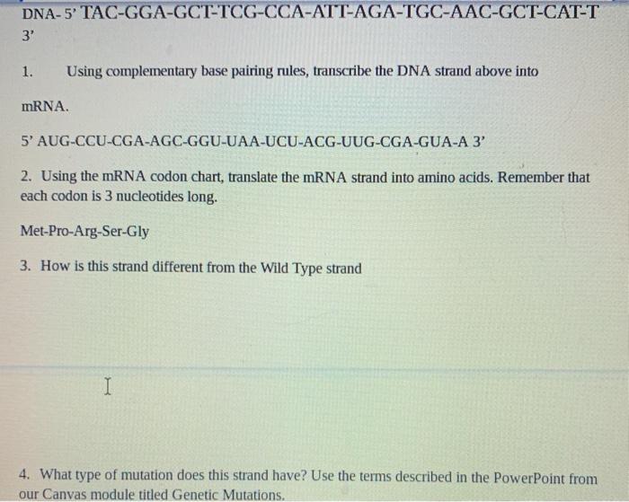 DNA-5' TAC-GGA-GCT-TCG-CCA-ATT-AGA-TGC-AAC-GCT-CAT-T | Chegg.com