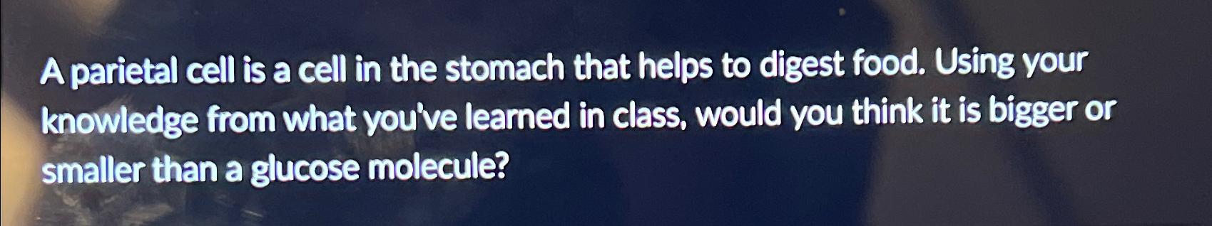 Solved A parietal cell is a cell in the stomach that helps | Chegg.com