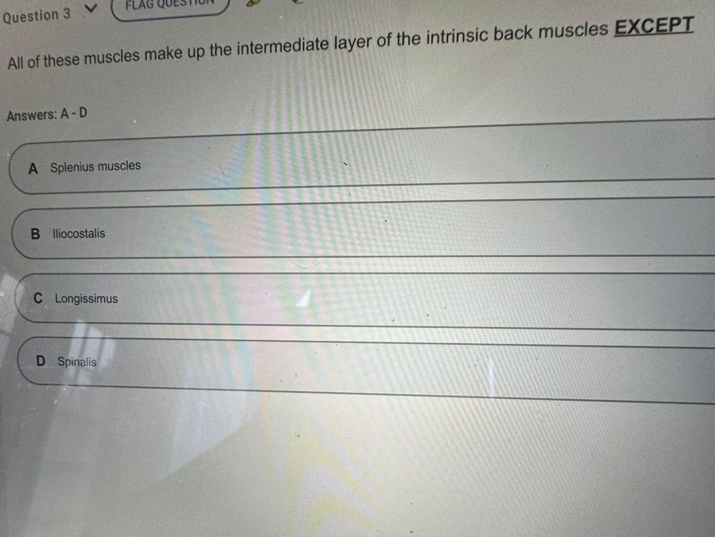 Solved Question 3All of these muscles make up the | Chegg.com