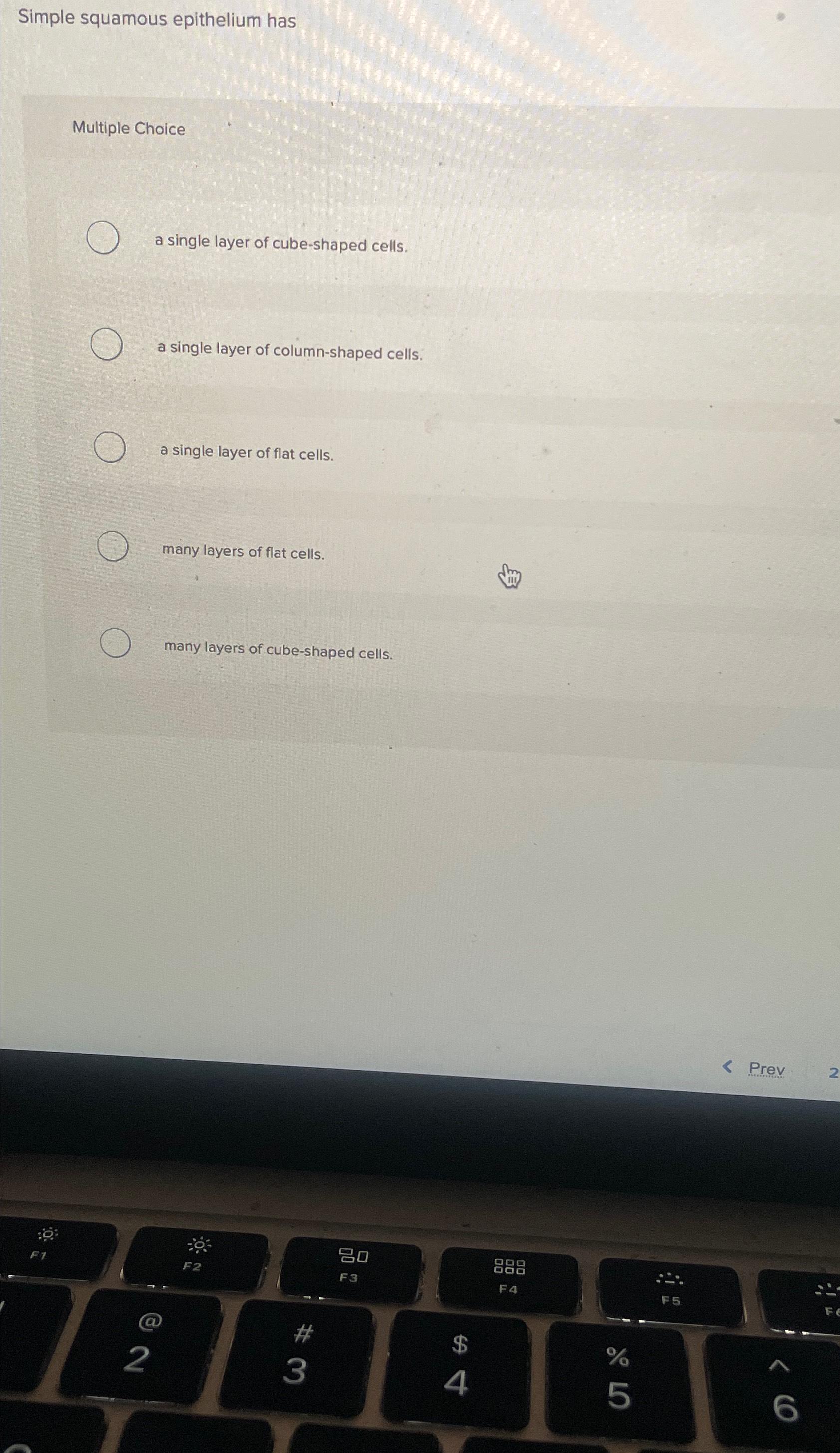 Solved Simple squamous epithelium hasMultiple Choicea single | Chegg.com