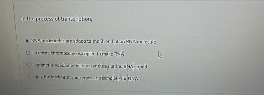 Solved In the process of transcription,RNA nucleotides are | Chegg.com