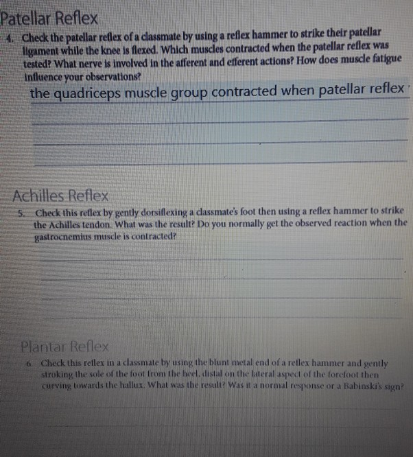 Solved Patellar Reflex 4. Check the patellar reflex of a | Chegg.com