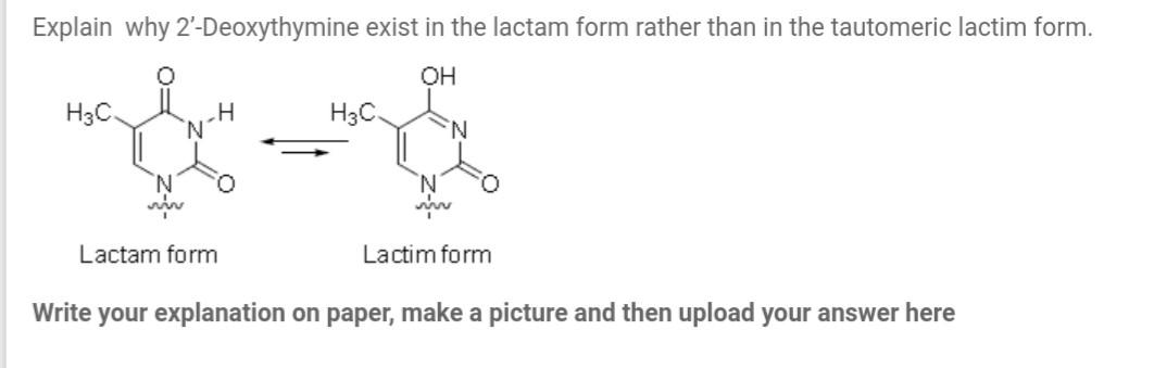 Solved Explain why 2'-Deoxythymine exist in the lactam form | Chegg.com