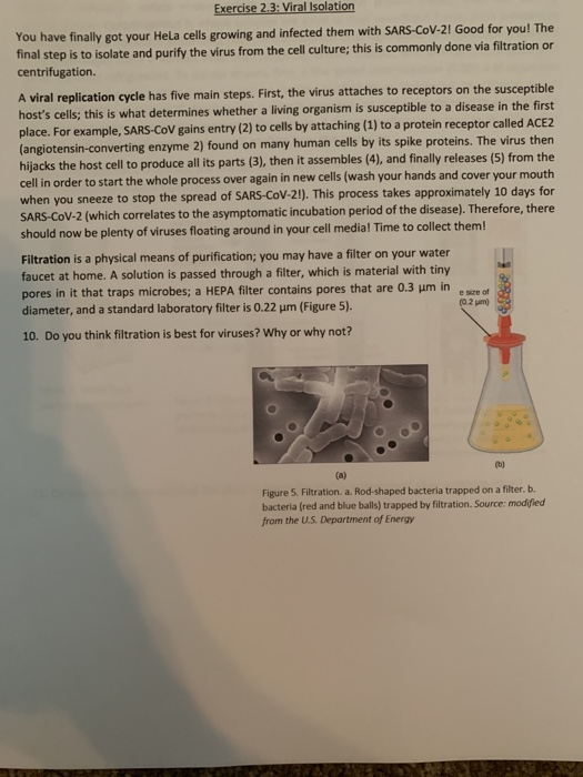 Solved Exercise 2.3: Viral Isolation You have finally got | Chegg.com