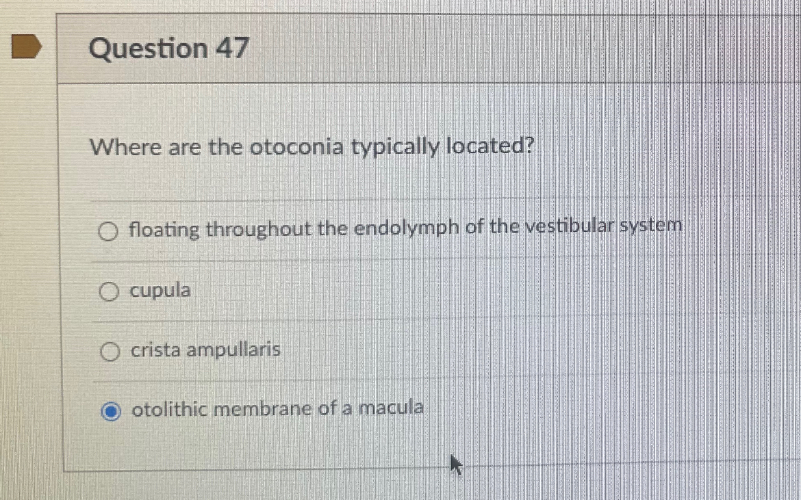 Solved Question 47Where are the otoconia typically | Chegg.com