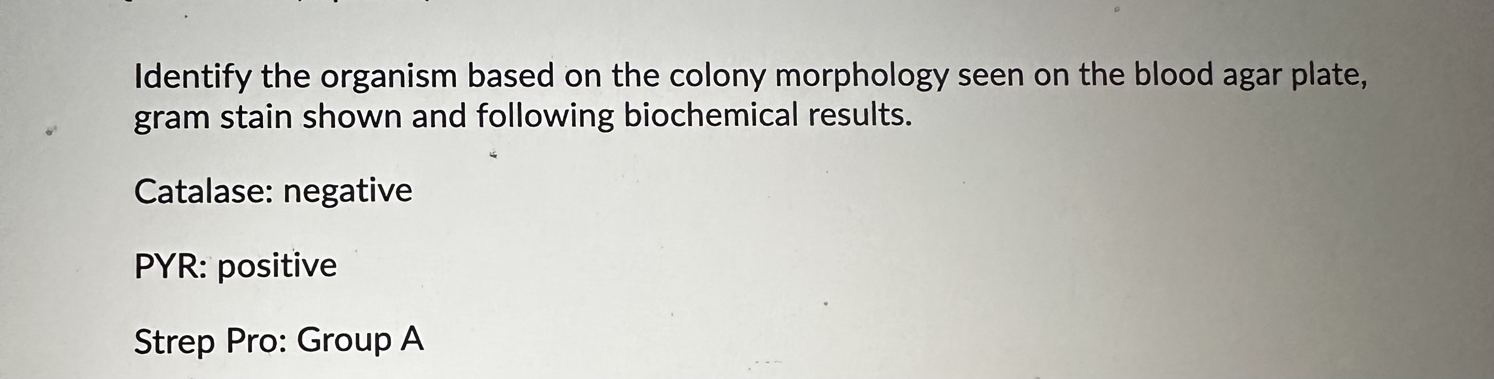 Solved Identify the organism based on the colony morphology | Chegg.com