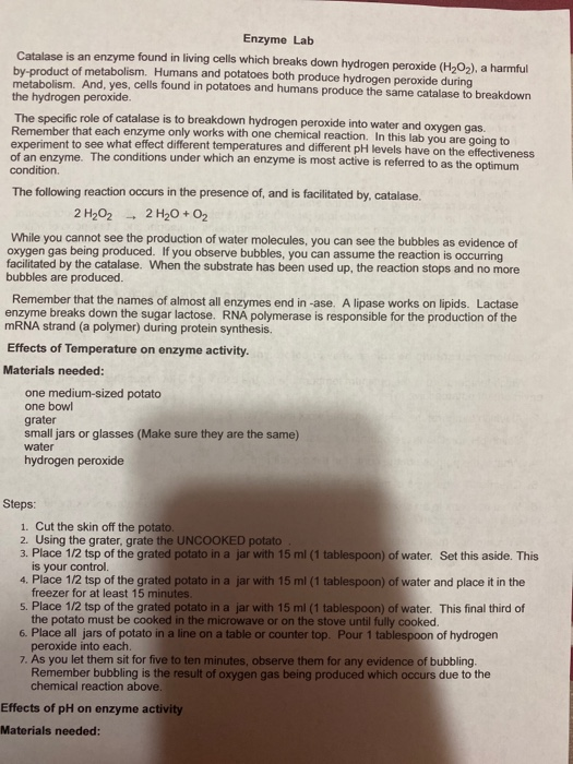 Solved Enzyme Lab Catalase is an enzyme found in living | Chegg.com