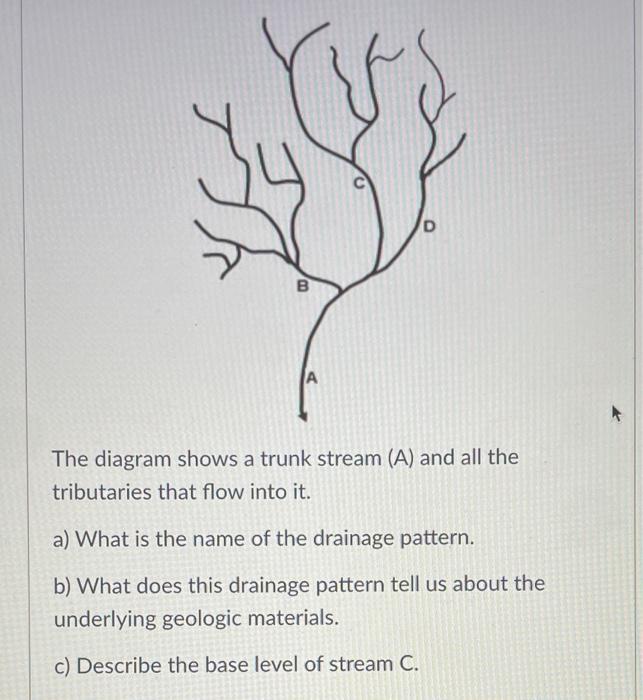 Solved D B The diagram shows a trunk stream (A) and all the | Chegg.com