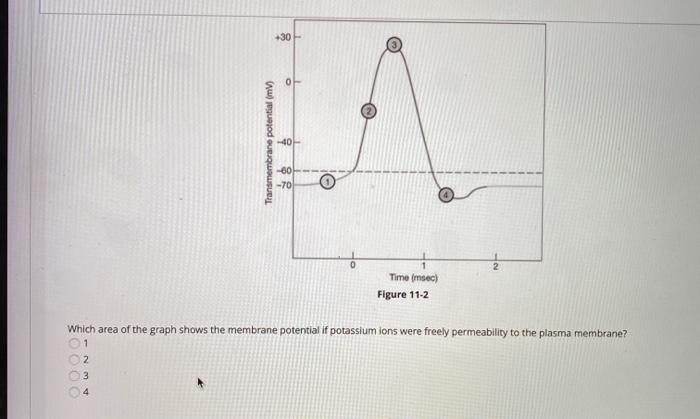 Solved +30 우 Transmembrane potential (mv) -40- -60 -70 Time | Chegg.com