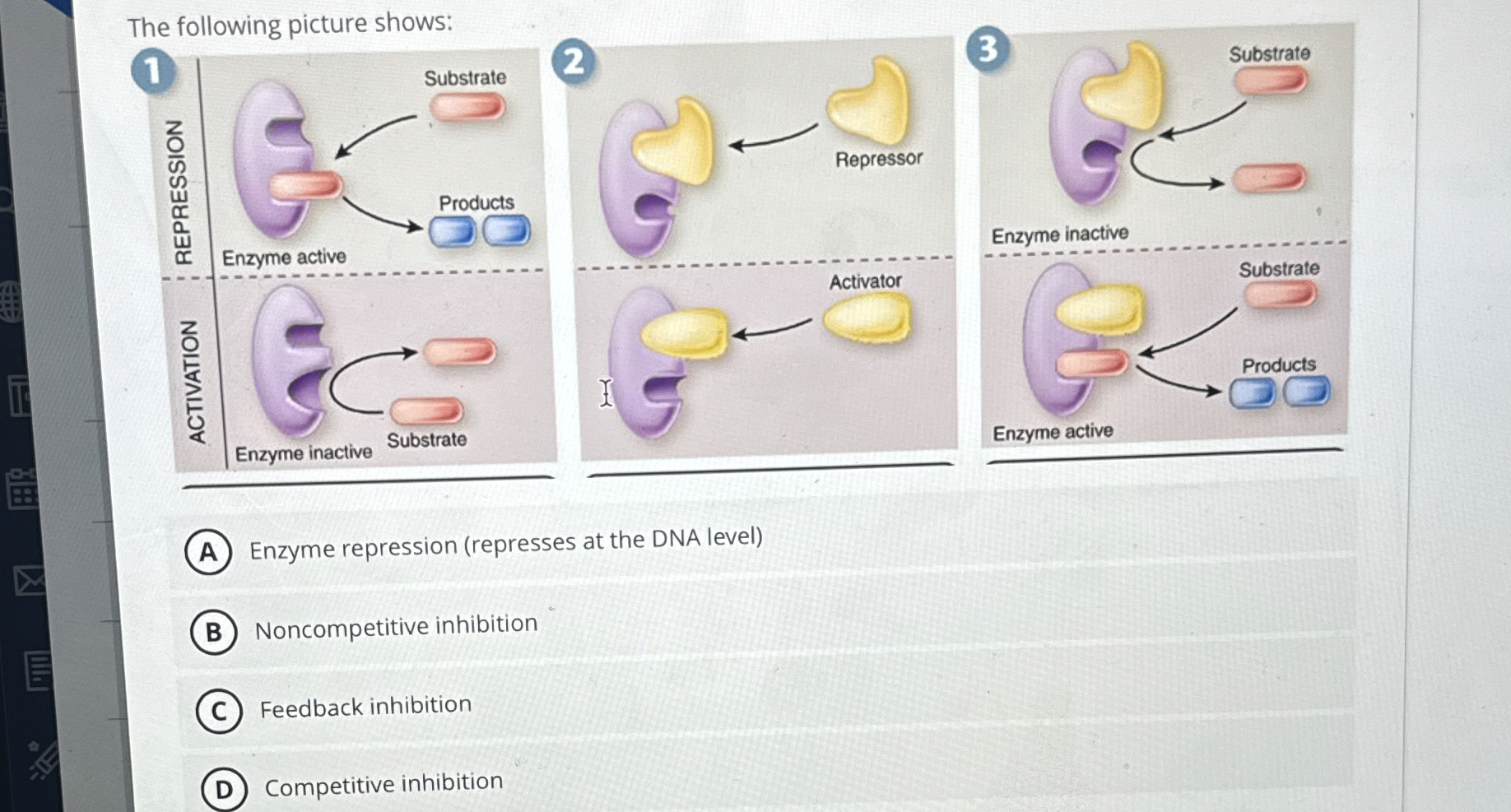 Solved The following picture shows:Enzyme repression | Chegg.com