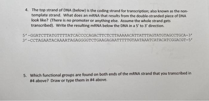 Solved 4. The top strand of DNA (below) is the coding strand | Chegg.com