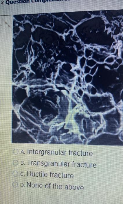 Solved By looking at the tractograph (micrograph of the | Chegg.com