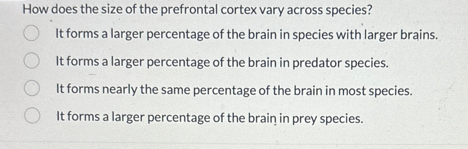 Solved How does the size of the prefrontal cortex vary | Chegg.com