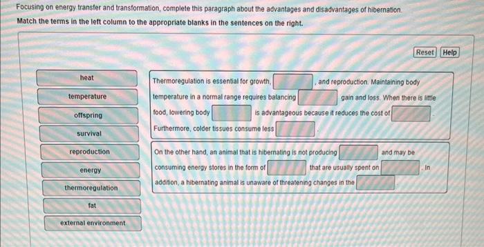 Solved Focusing on energy transfer and transformation, | Chegg.com