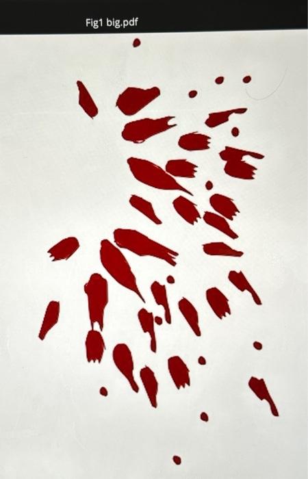 Solved Forensic scientists generally characterize bloodstain | Chegg.com