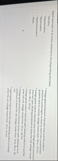 Solved Match each part of an action potential to the phase | Chegg.com