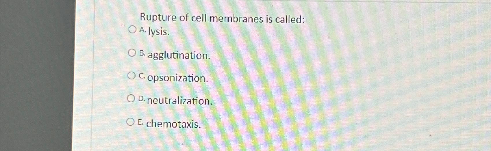 Solved Rupture of cell membranes is called:A. ﻿lysis.B. | Chegg.com