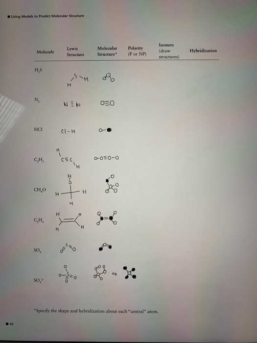 Solved 08 Using Models to Predict Molecular Structure 5. Lab | Chegg.com