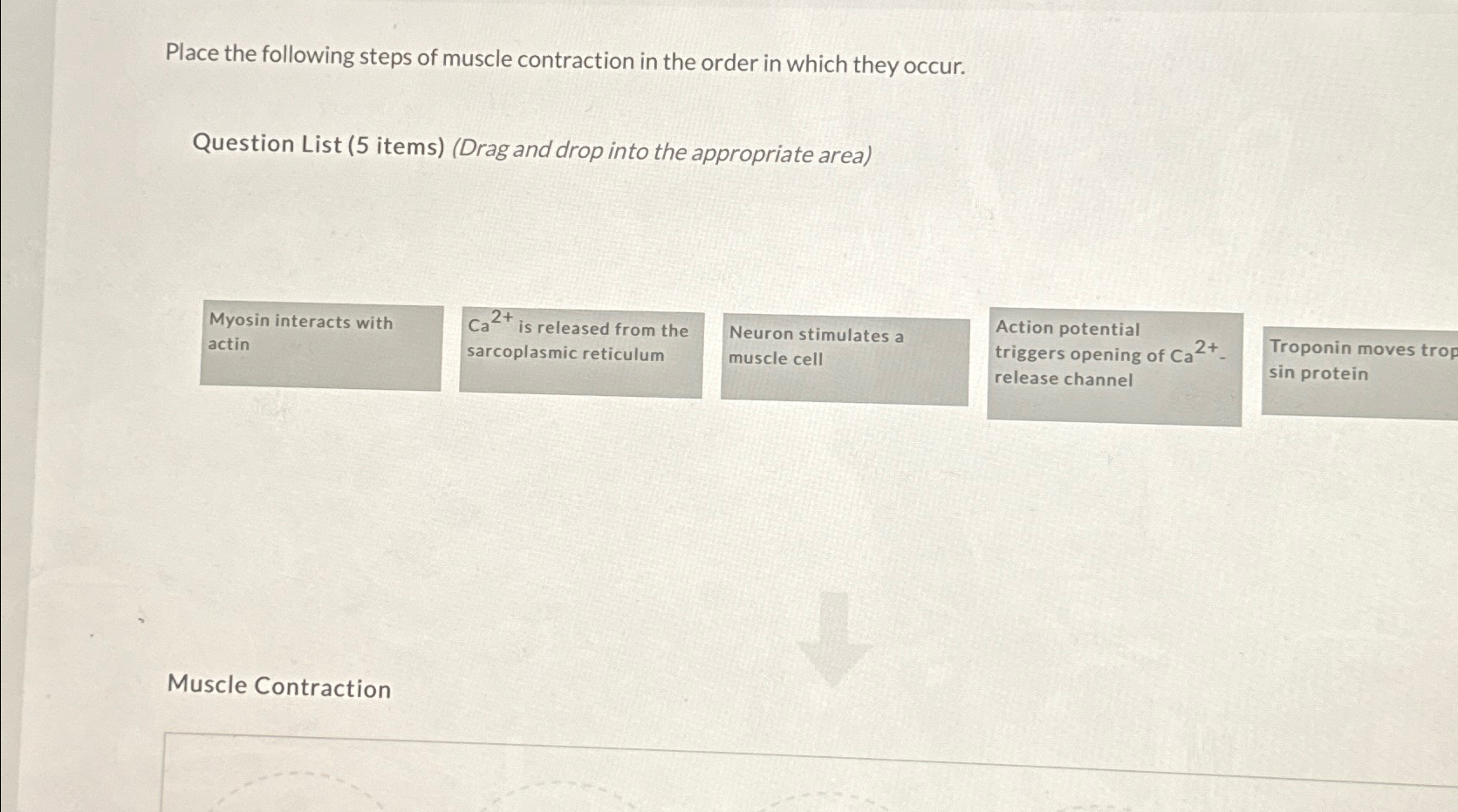 Solved Place the following steps of muscle contraction in | Chegg.com