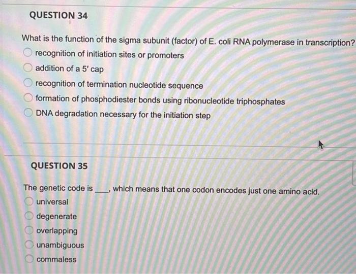 Solved QUESTION 34 What is the function of the sigma subunit | Chegg.com