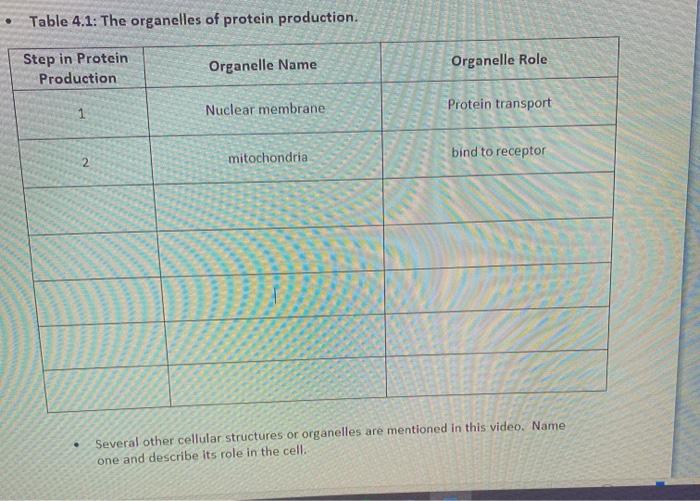 Solved Table 4.1: The organelles of protein production. Step | Chegg.com