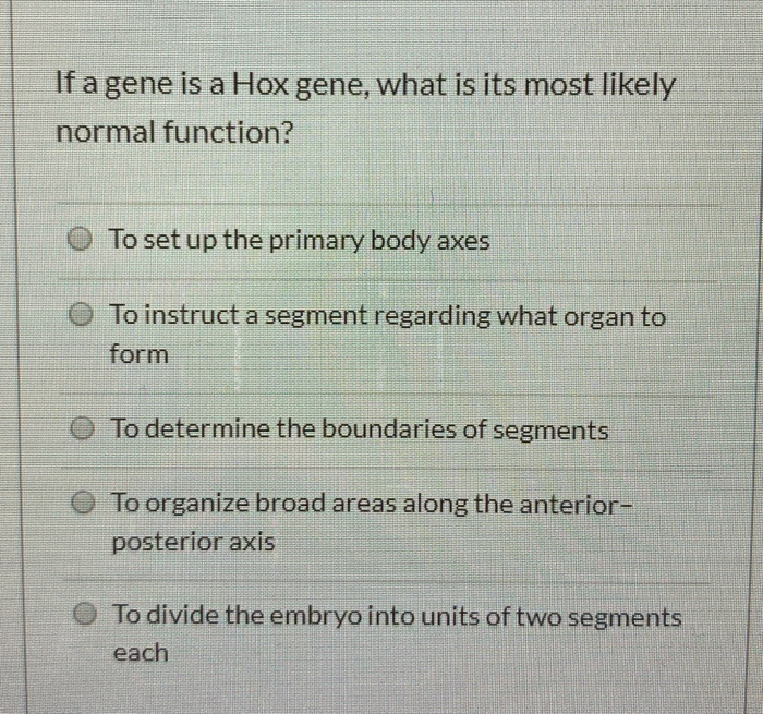 Solved If a gene is a Hox gene, what is its most likely | Chegg.com