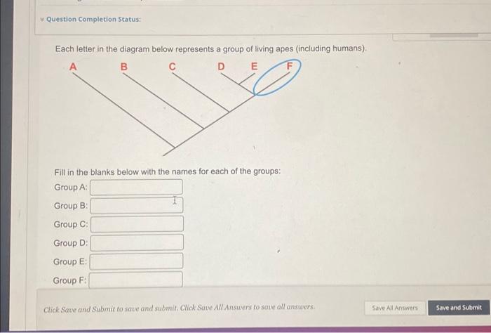 Each letter in the diagram below represents a group | Chegg.com