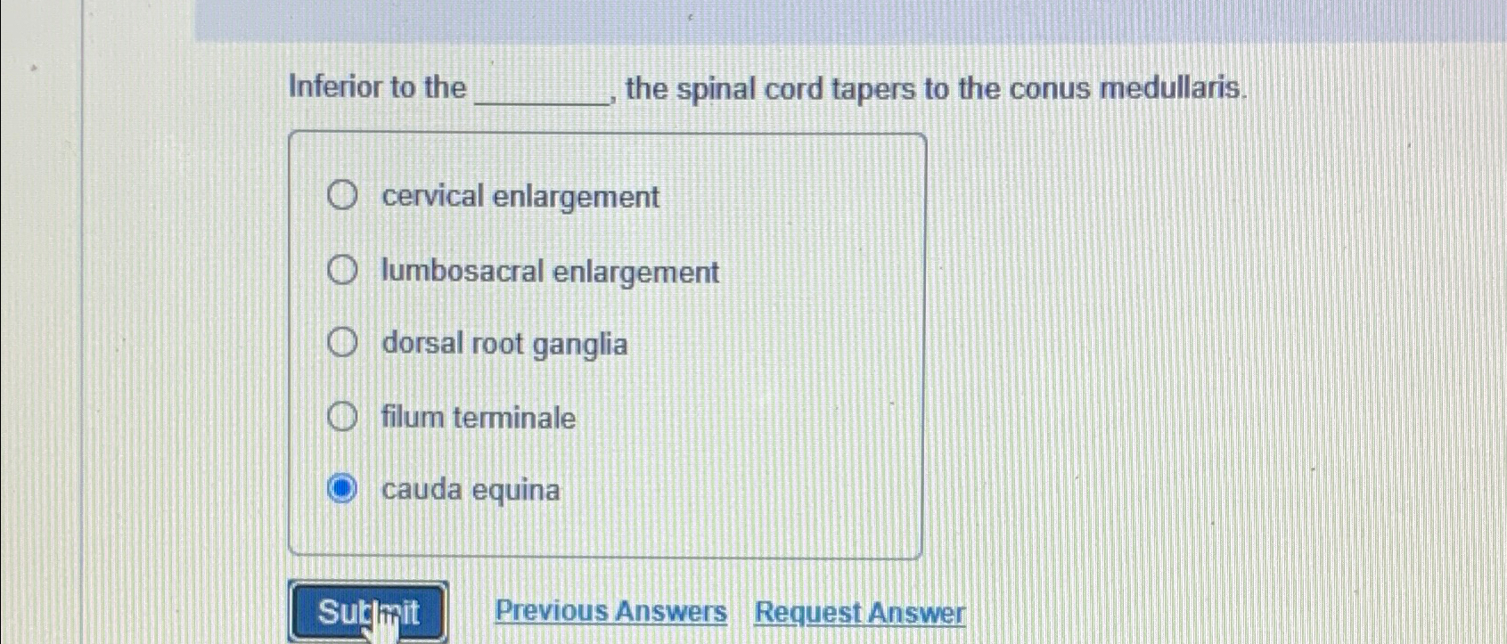Solved Inferior to the the spinal cord tapers to the conus | Chegg.com