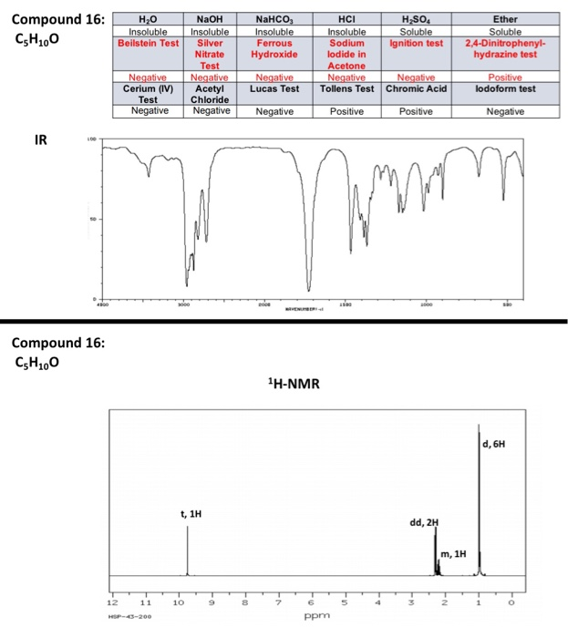 Solved Compound 16: C5H100 H20 Insoluble Beilstein Test | Chegg.com