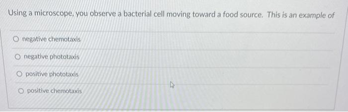 Solved Using a microscope, you observe a bacterial cell | Chegg.com