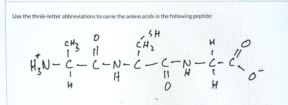 Solved Use the three-letter abbreviations to name the amino | Chegg.com