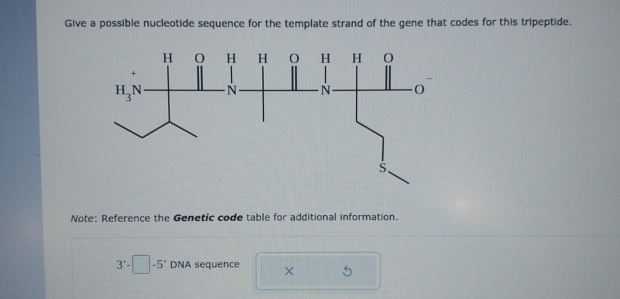Solved Give a possible nucleotide sequence for the template | Chegg.com