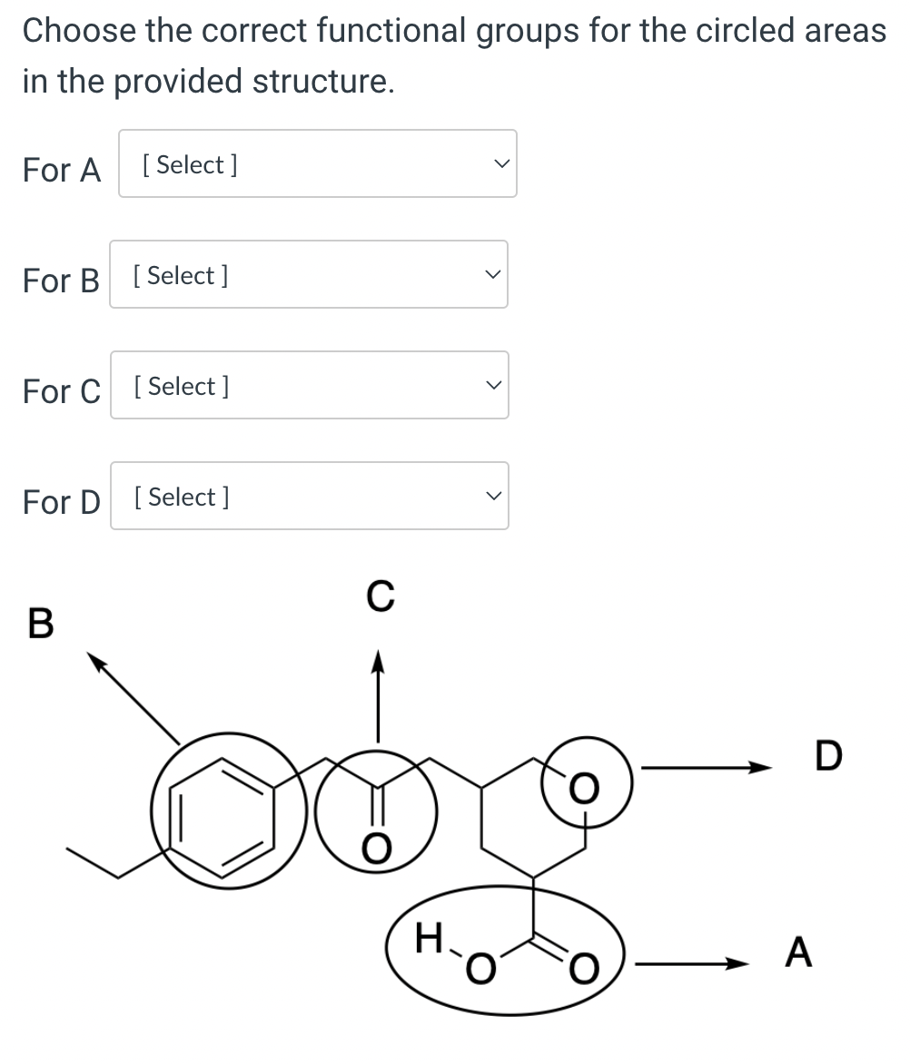 Solved Choose the correct functional groups for the circled | Chegg.com