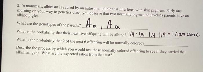 Solved 2. In mammals, albinism is caused by an autosomal | Chegg.com