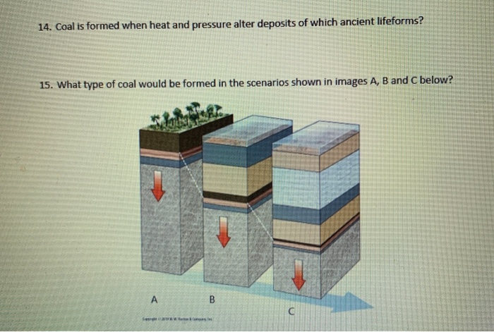 Solved 9. Match the parts of the hydrocarbon system (A-D) | Chegg.com