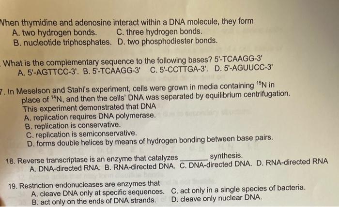 Solved Vhen thymidine and adenosine interact within a DNA | Chegg.com