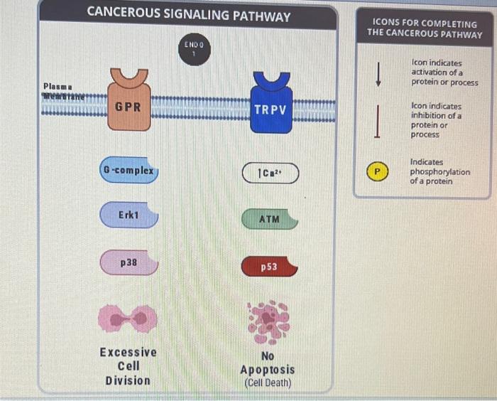 Mean Relative Activity (\% of observed max) of TRPV | Chegg.com