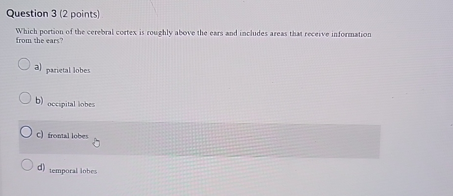 Solved Question 3 (2 ﻿points)Which portion of the cerebral | Chegg.com