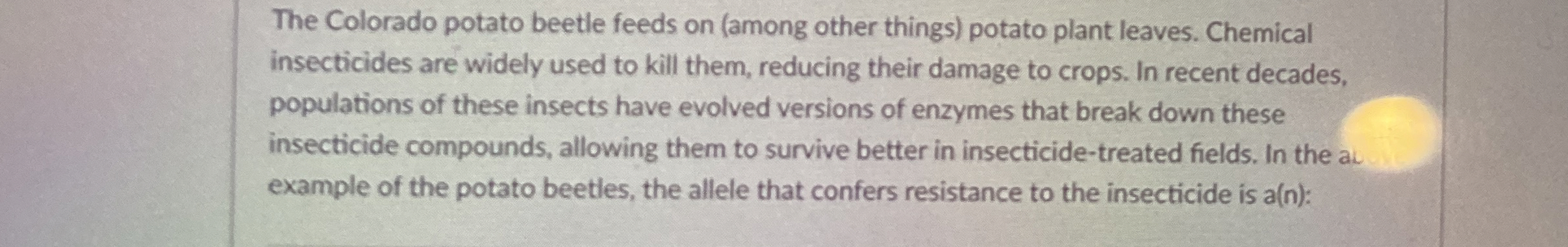 Solved The Colorado potato beetle feeds on (among other | Chegg.com
