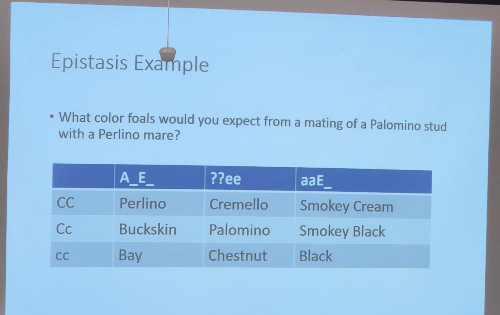 Solved Epistasis Example - What color foals would you expect | Chegg.com