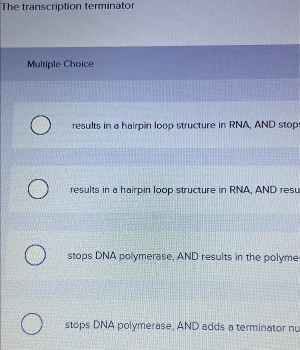 Solved The transcription terminator Multiple Choice results | Chegg.com