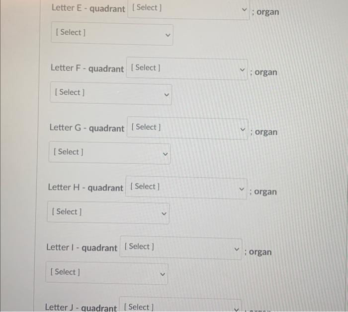 Using the image below, identify each organ and which | Chegg.com