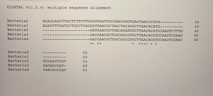 CLUSTAL 0(1.2.4) multiple sequence alignment | Chegg.com